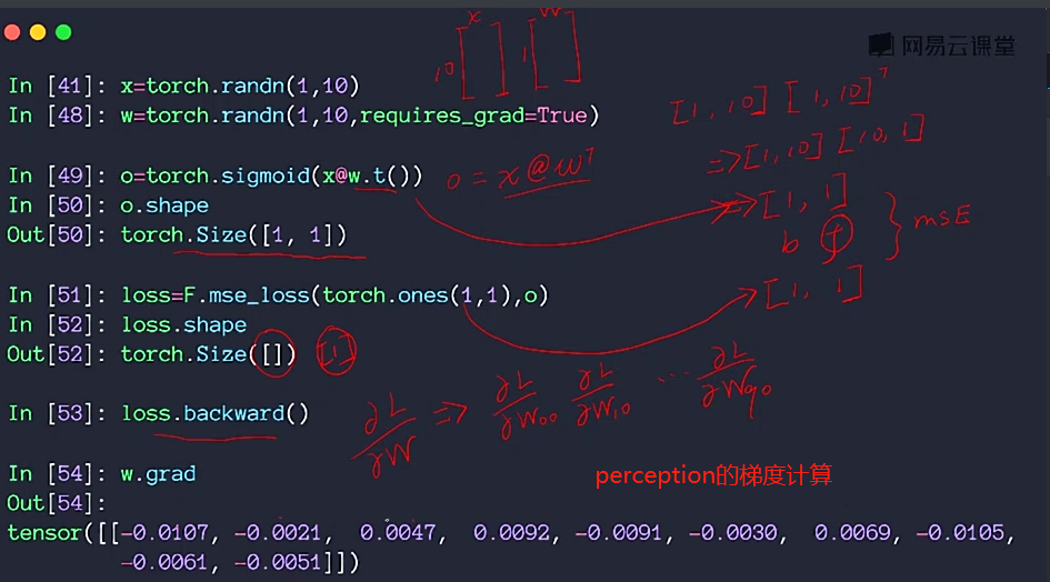 PyTorch Note -- 自动求导_pytorch mseloss 求导-CSDN博客
