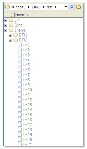 DTI脑网络构建 详细介绍处理过程以及PANDA的使用_dti 图论-CSDN博客
