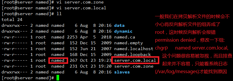 centos7安装与配置DNS服务器_centos7安装dns-CSDN博客