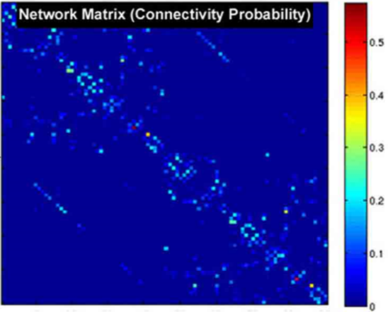 DTI脑网络构建 详细介绍处理过程以及PANDA的使用_dti 图论-CSDN博客