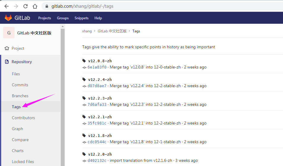 Gitlab 部署与使用_gitlab-rails-CSDN博客