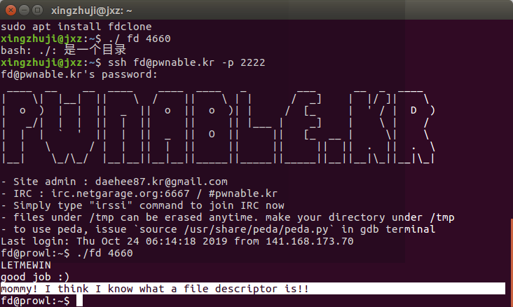 pwn之fd_pwn fd-CSDN博客