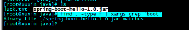Linux在当前目录下面模糊查找文件命令find Name 模糊查找 Csdn博客