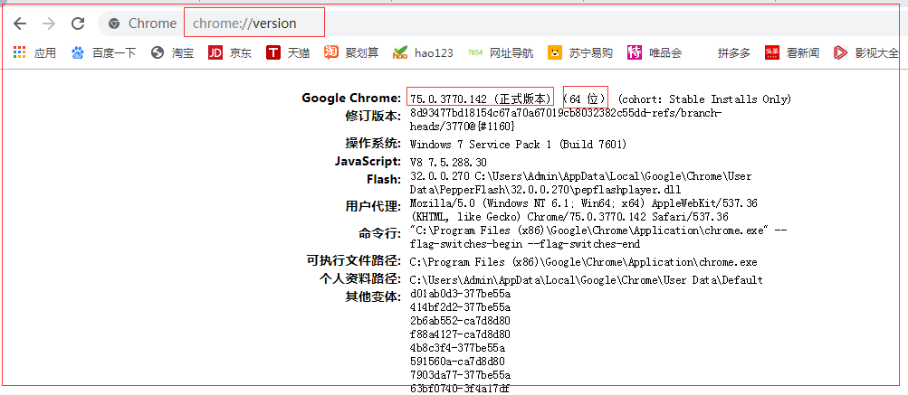 Mon Exceptions Webdriverexception Message Chromedriver