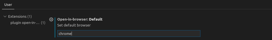 Open browser failed!! Please check if you have installed the browser correctly! Alt + B无效 - VS ...