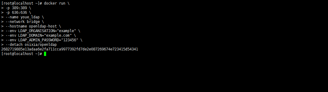 LDAP使用docker安装部署与使用_vmware搭建ldap域认证环境-CSDN博客