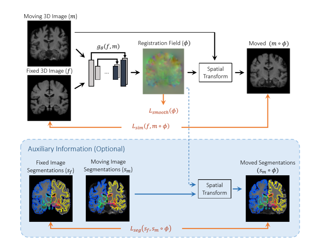 论文笔记：VoxelMorph: A Learning Framework for Deformable Medical Image Registration_[论文笔记 ...