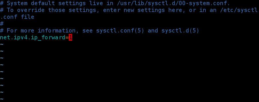 Linux中的网络设置（二）GATEWAY 网关的设定_linux gateway-CSDN博客