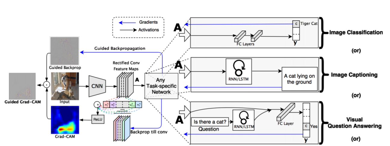 Grad-CAM阅读笔记 -神经网络输出可视化_grad-aam-CSDN博客