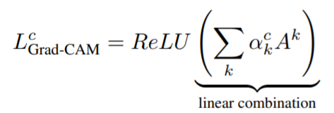 Grad-CAM阅读笔记 -神经网络输出可视化_grad-aam-CSDN博客