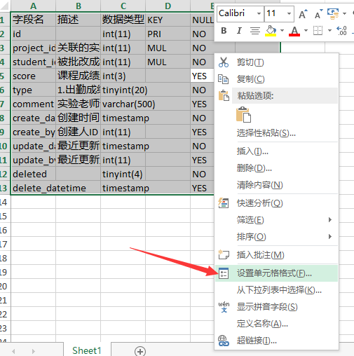 navicat mysql表结构导出excel并复制到word_navict将数据库所有表的字段的注释生成文档输出-CSDN博客