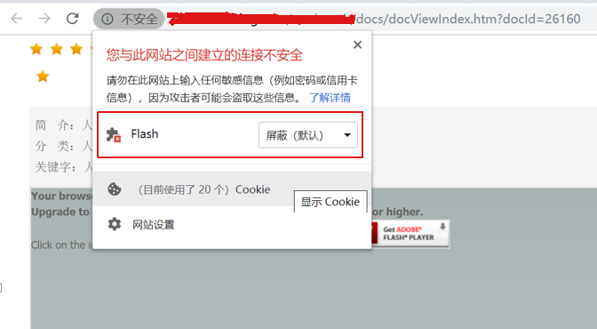 Google Chrome Your browser is not compatible with FlexPaper - Programmer Sought