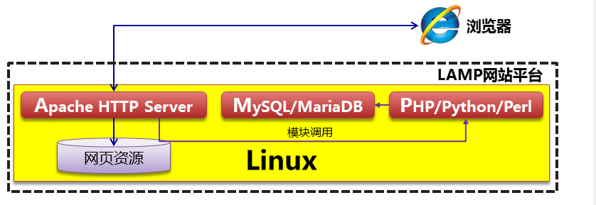 部署Linux LAMP 动态网站服务器平台_动态网站服务部署lamp-CSDN博客