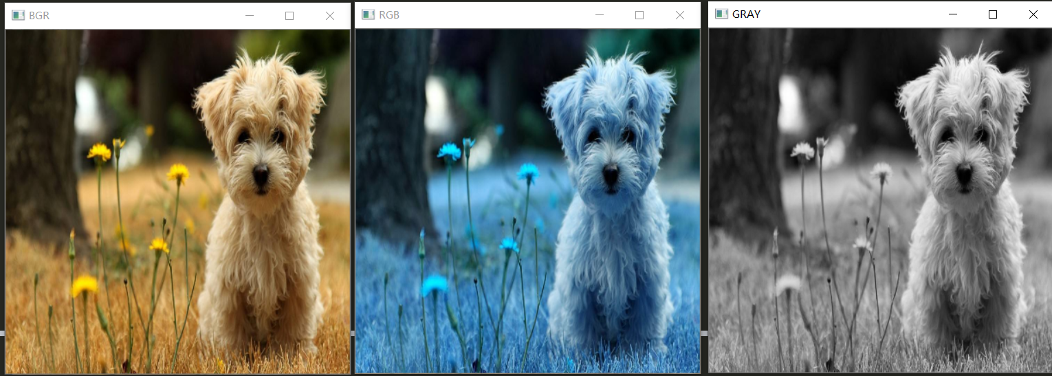 Simple operation of opencv under python - Programmer Sought