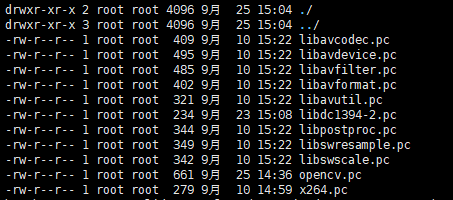 pkg-config的作用和用法_g++ 编译参数pkg-config-CSDN博客
