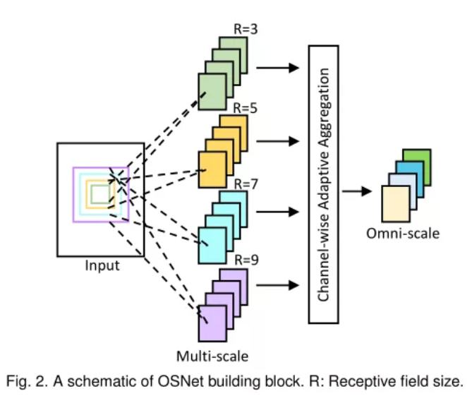 Learning Generalisable Omni-Scale Representations for Person Re ...