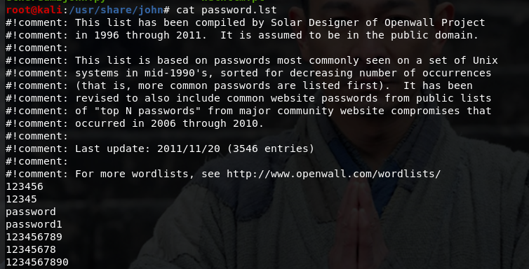 kali骚操作之系统字典_kali字典-CSDN博客