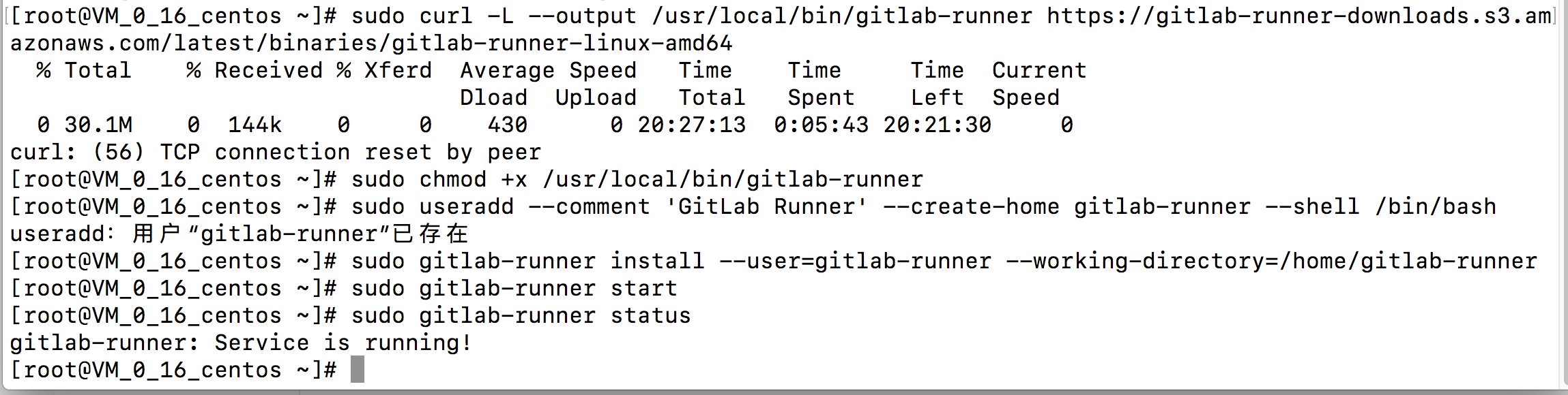 Gitlab Runner Ci 项目自动部署onguiinit Already Exists Csdn博客 