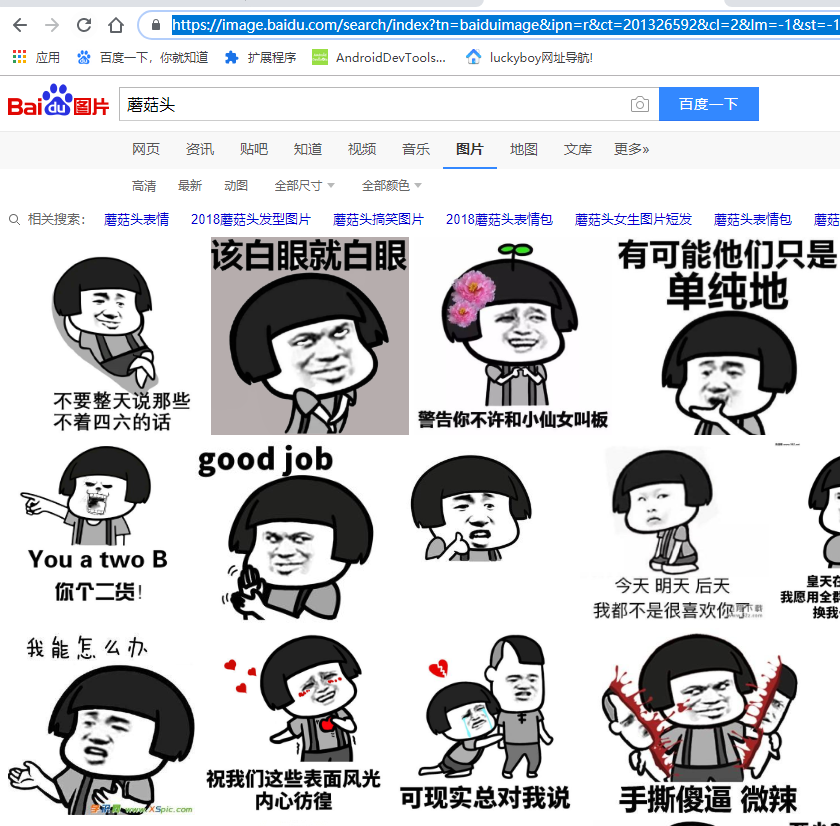 Python3爬虫系列02之urllib库：根据关键词自动下载百度图片hoverurl Csdn博客 