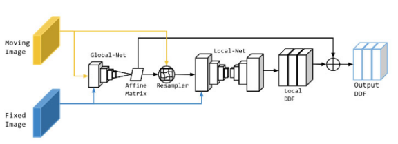 【配准】弱监督(Weakly-Supervised)系列配准论文阅读_label-driven weakly-supervised learning for multim-CSDN博客