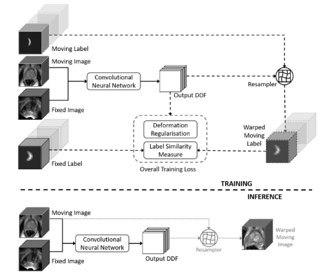 【配准】弱监督(Weakly-Supervised)系列配准论文阅读_label-driven weakly-supervised learning for multim-CSDN博客