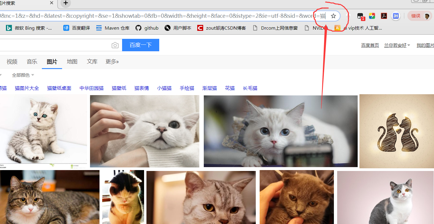 Python3爬虫系列02之urllib库：根据关键词自动下载百度图片hoverurl Csdn博客 5136