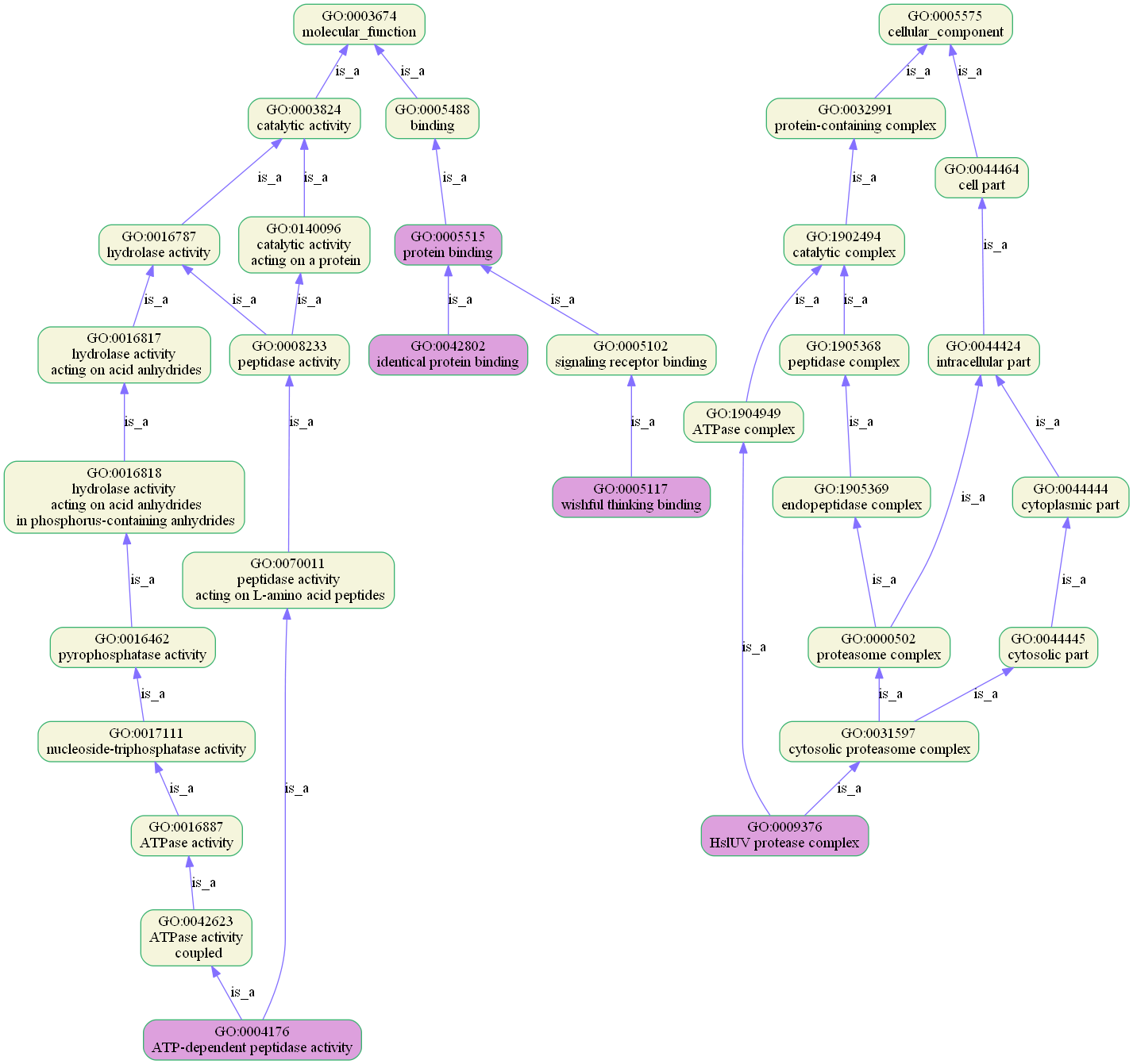 Gene Ontology 的GO注释的可视化_goatools-CSDN博客