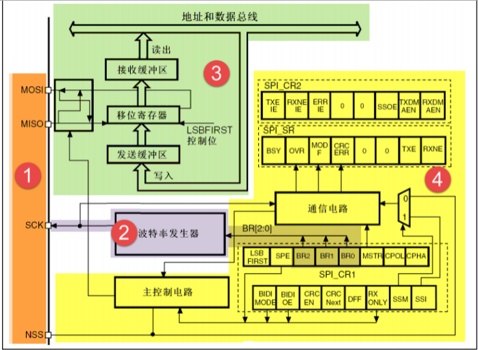 STM32 的 SPI 特性及架构_stm32f103 spi1和spi2的区别-CSDN博客