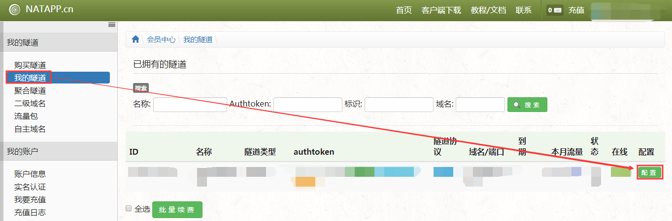 NATAPP安装和配置(附加NATAPP后台运行)-CSDN博客