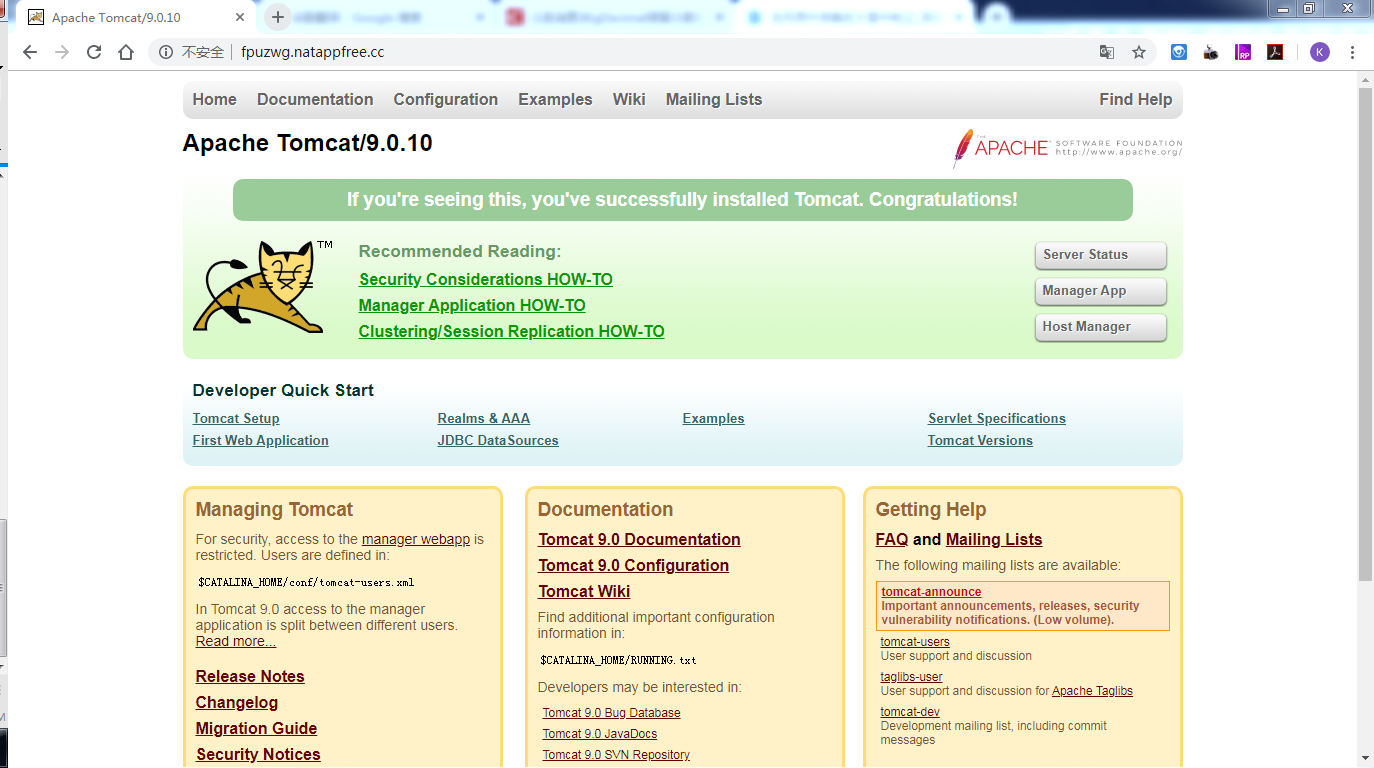 NATAPP安装和配置(附加NATAPP后台运行)-CSDN博客