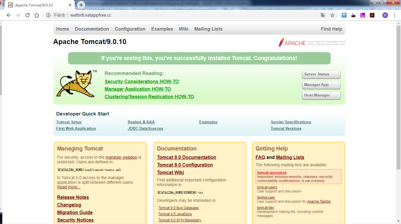 NATAPP安装和配置(附加NATAPP后台运行)-CSDN博客