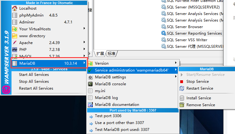 wamp安装&配置_startwamp-CSDN博客