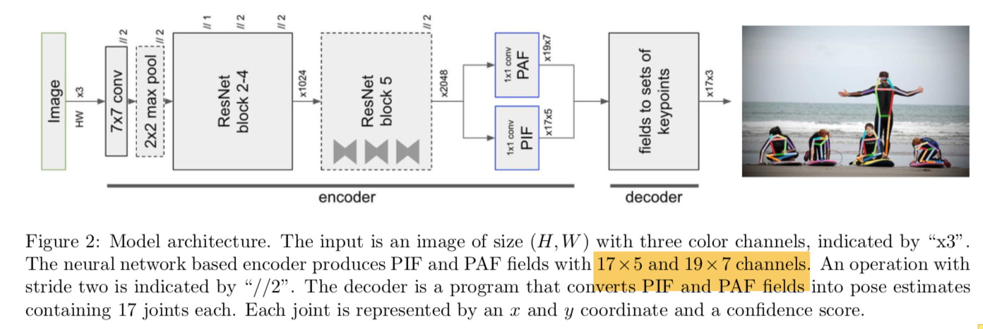 【姿态估计文章阅读】PifPaf: Composite Fields for Human Pose Estimation-CSDN博客