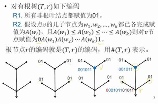 树同构判定算法判断树是否同构等不到结尾的博客 Csdn博客 