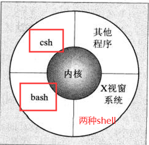 Linux中自建bash部分功能（mybash）_.展示mybash.sh里的内容-CSDN博客
