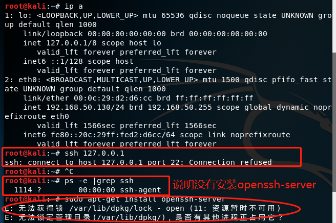 Xshell连接kali&不成功解决方法_xshell连接kali连不上-CSDN博客