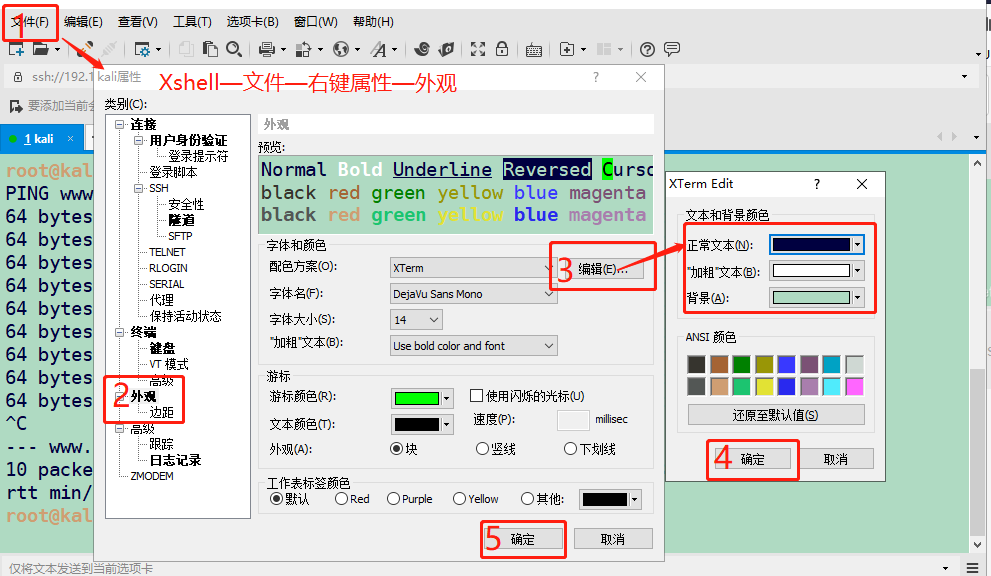 Xshell连接kali&不成功解决方法_xshell连接kali连不上-CSDN博客