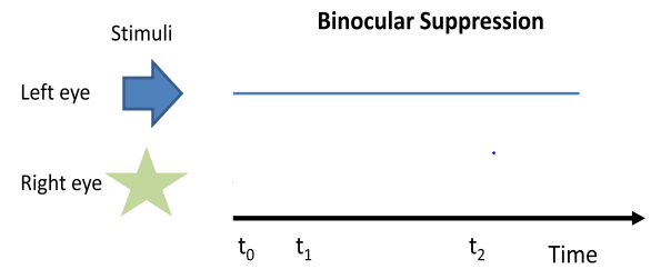 从双目竞争到立体图像质量评价-Full-reference quality assessment of stereopairs ...