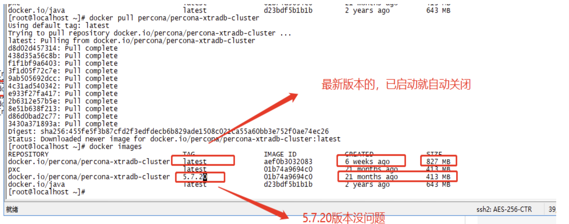 docker搭建msyql集群坑----------percona/percona-xtradb-cluster 容器启动了之后自动关闭_percona-xtradb-cluster ...