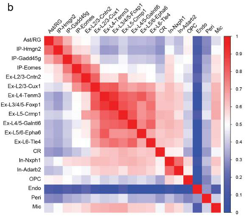 文献阅读High-throughput sequencing of the transcriptome and chromatin accessibility in the same cell ...