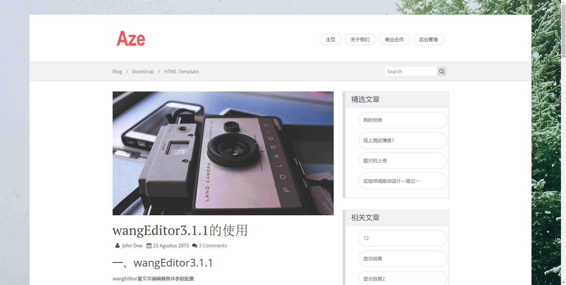 Springbootvueelement个人博客项目3 精选文章置顶springboot置顶 Csdn博客
