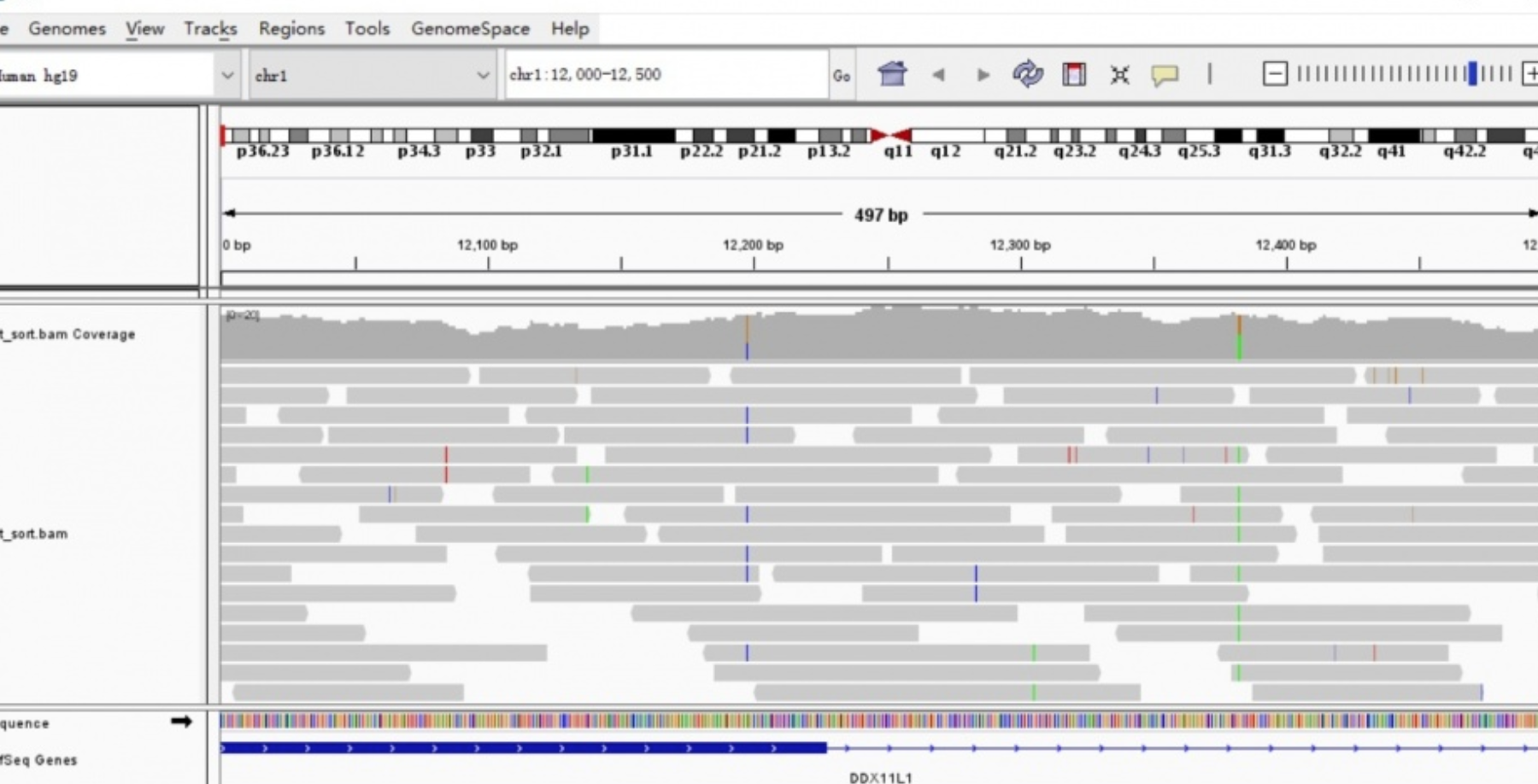 保存igv的信息，igvtools接口的使用：将igvtools查看bam文件的结果保存为txt文件，并提取信息_igvtools 命令行-CSDN博客