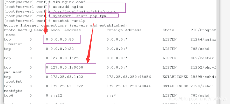 (nginxredismysql)读写分离,redis 保持和mysql数据一致mysql 读写分离 Redis数据致 Csdn博客