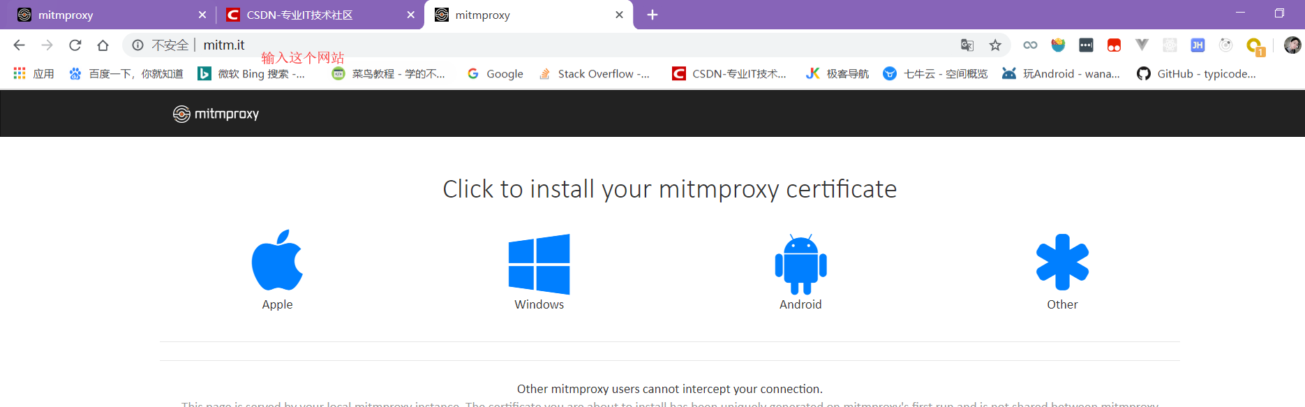 mitmproxy使用（windows）_mitmproxy 监听windows-CSDN博客