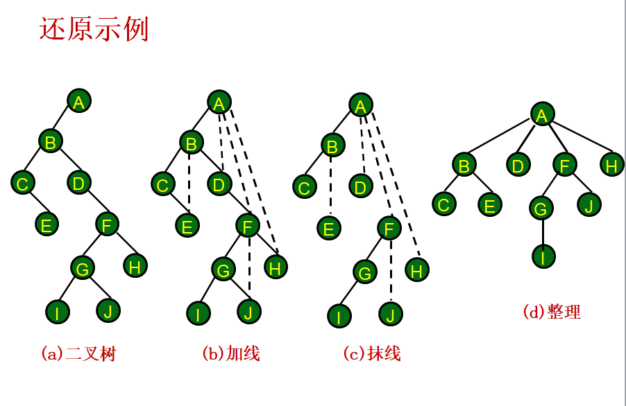 一般树与二叉树、森林与二叉树的转换树转为二叉树和普通二叉树一样吗 Csdn博客 