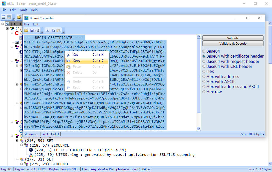 介绍一个 Windows 平台上的开源工具软件 ASN.1 Editor_asn1editor-CSDN博客