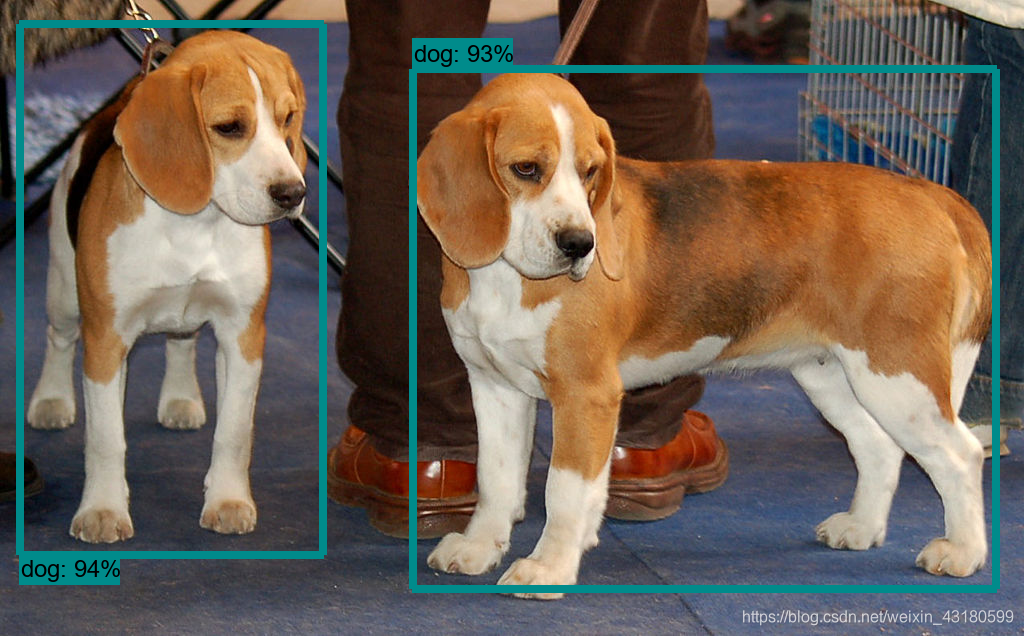 Tensorflow Object Detection Api 实现动态物体的实时识别 Win10 Python3 7 Tensorflow2