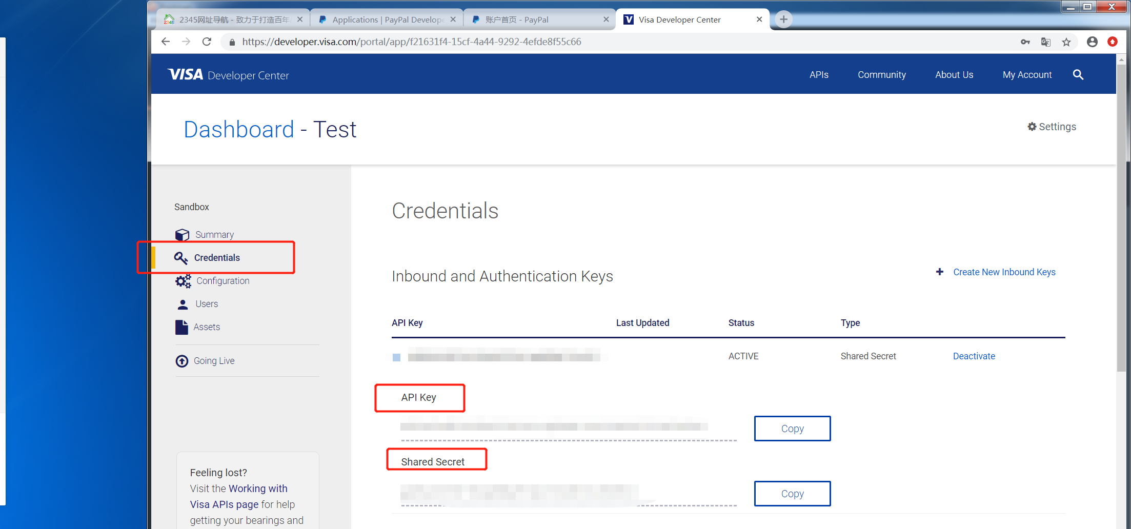 visa支付—Springboot-CSDN博客
