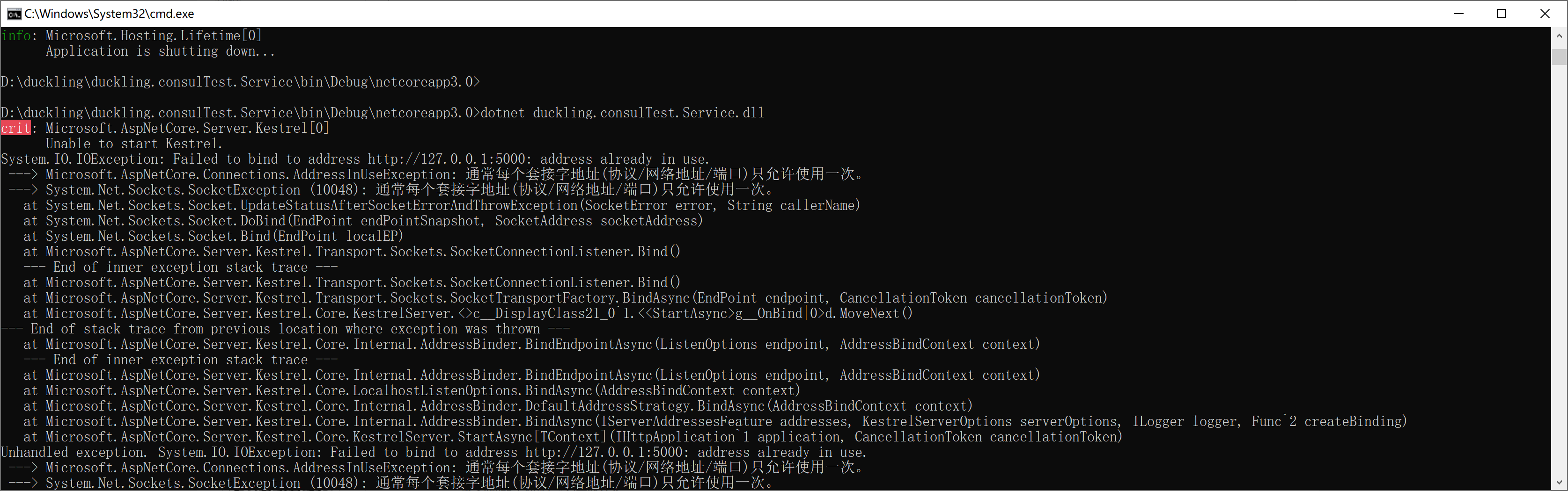 .net core 3.0 webapi 使用控制台承载运行_net core 添加api 控制器 怎么运行-CSDN博客