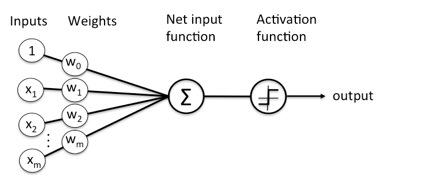 猫狗识别之基础入门（1）_the entire network consists of two layers, input a-CSDN博客